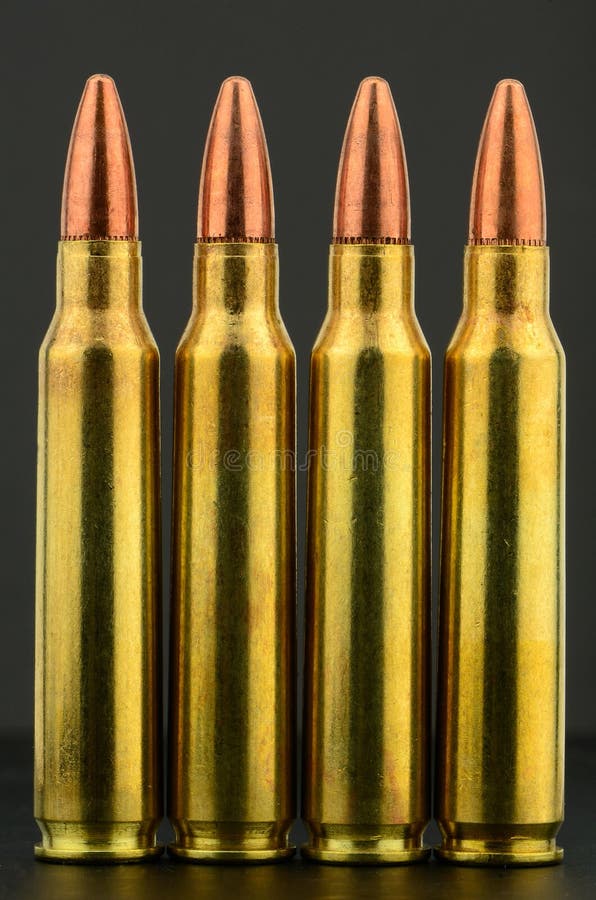 223 Bullets with M16 Style Military Assault Rifle Stock Image - Image ...
