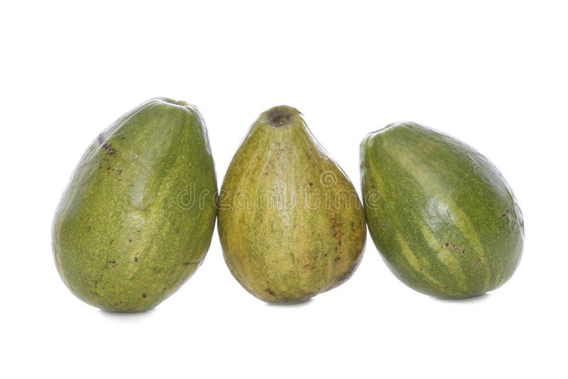 3 avocados stock photo. Image of avocado, everyday, leisure - 16919960