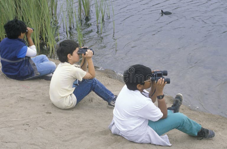 1,000 Bird Boys Stock Photos - Free & Royalty-Free Stock Photos from ...