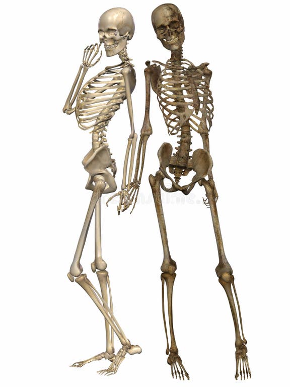 3 D Skeletons Friends Ever Stock Illustrations – 8 3 D Skeletons ...