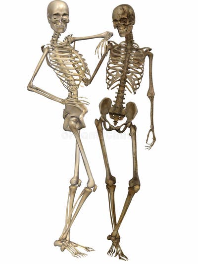 3 D Skeletons Friends Ever Stock Illustrations – 8 3 D Skeletons ...