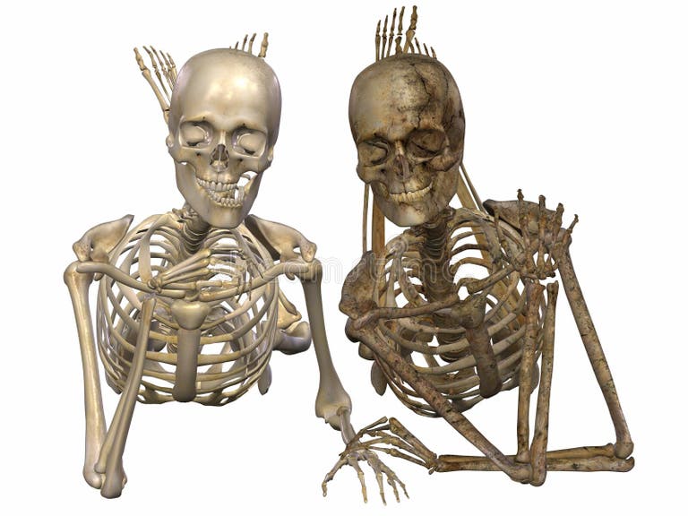 3 D Skeletons Friends Ever Stock Illustrations – 8 3 D Skeletons ...