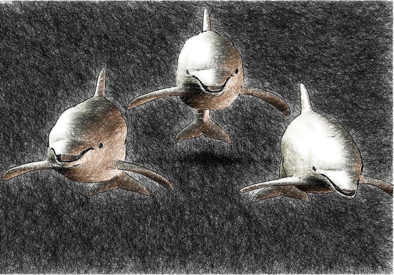 3 dolphin sketch stock illustration. Illustration of fish - 5714