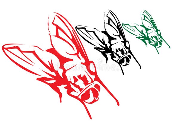 3 Flies stock vector. Illustration of flies, vector, graphic - 1497662