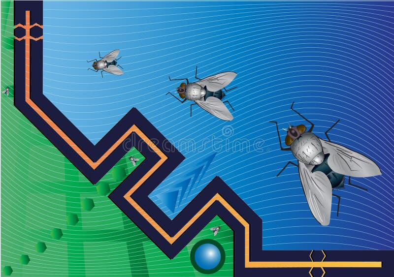 3 Flies Blue Green Abstract Background Picture. Image: 4497647