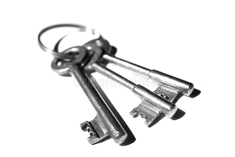 Chess family stock photo. Image of individual, focus, important - 8572114