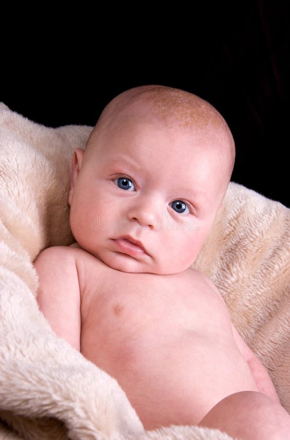 3 Month Old Baby stock photo. Image of camera, child - 13928674