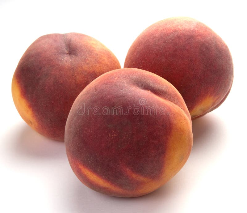 Easter eggs in a basket stock photo. Image of decoration - 4780946