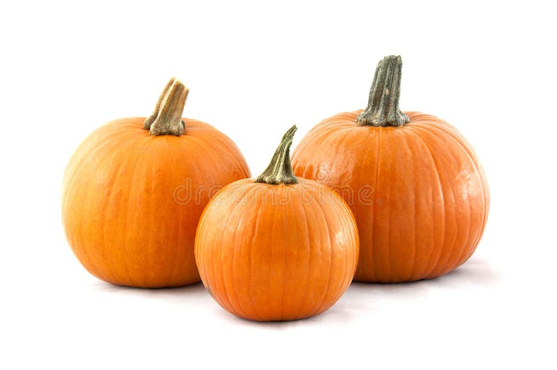 251 3 Pumpkins Stock Photos - Free & Royalty-Free Stock Photos from ...