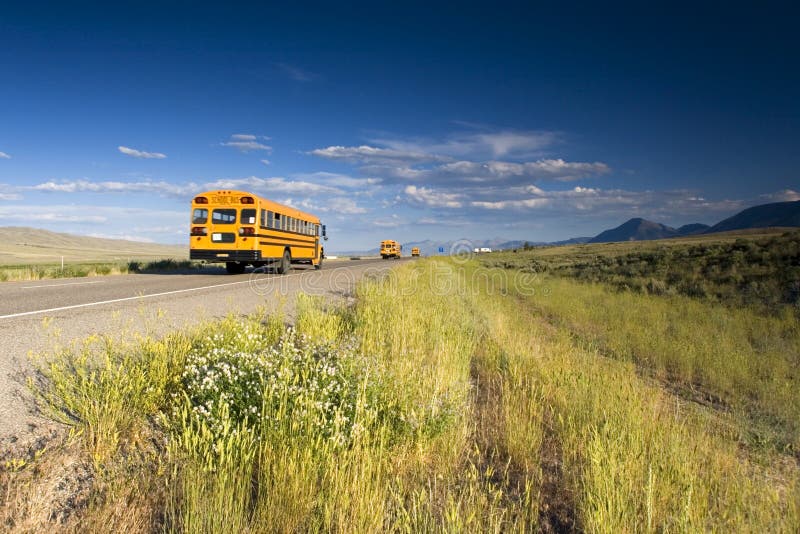 3 School buses on the road stock photo. Image of blurred - 2892984