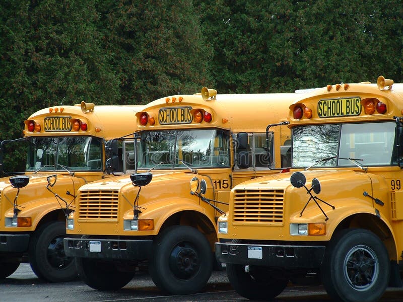3 school busses stock photo. Image of yellow, parking, busses - 101888