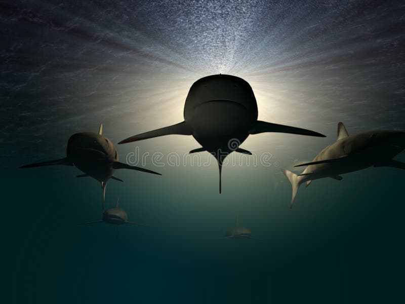 3 sharks stock illustration. Illustration of shark, reflections - 28716341