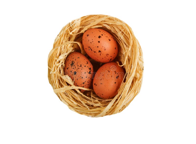 3 small eggs stock image. Image of goose, colour, dappled - 23693297