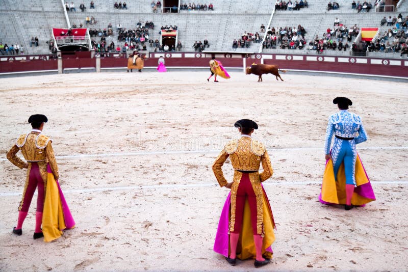 3 Toreros Start the Performance with the Bull. Editorial Stock Image ...