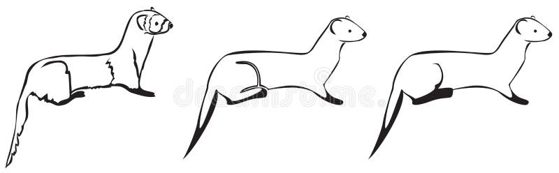 3 vita svarta vesslor vektor illustrationer. Illustration av vektor ...