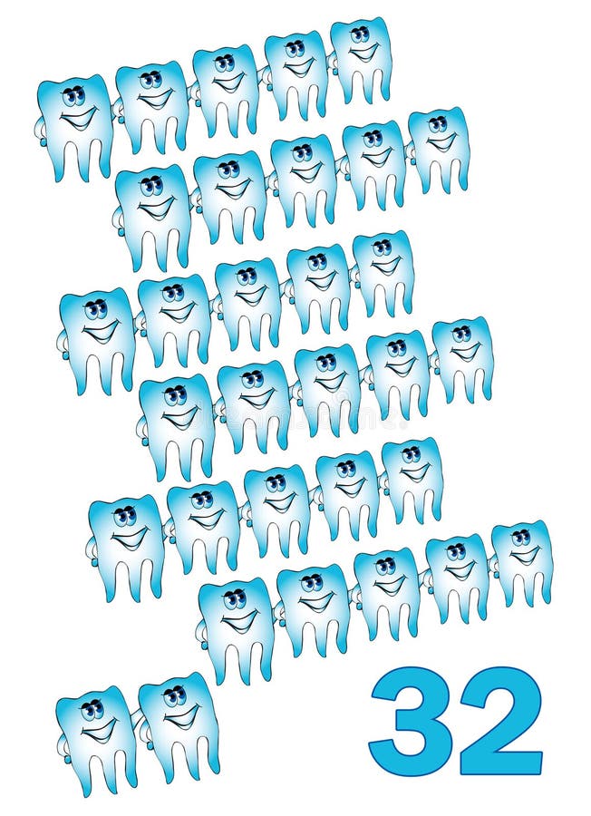 32 teeths stock illustration. Illustration of health, smile - 5371080