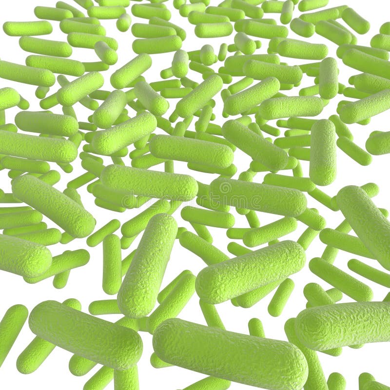 3d bacteria stock illustration. Illustration of medicine - 13557218