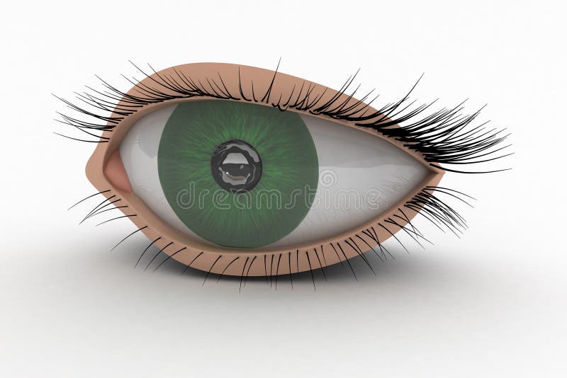 3D Eye Icon Royalty Free Stock Image - Image: 2411876