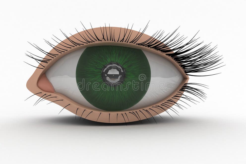 3D Eye Icon stock illustration. Illustration of parts - 2411879