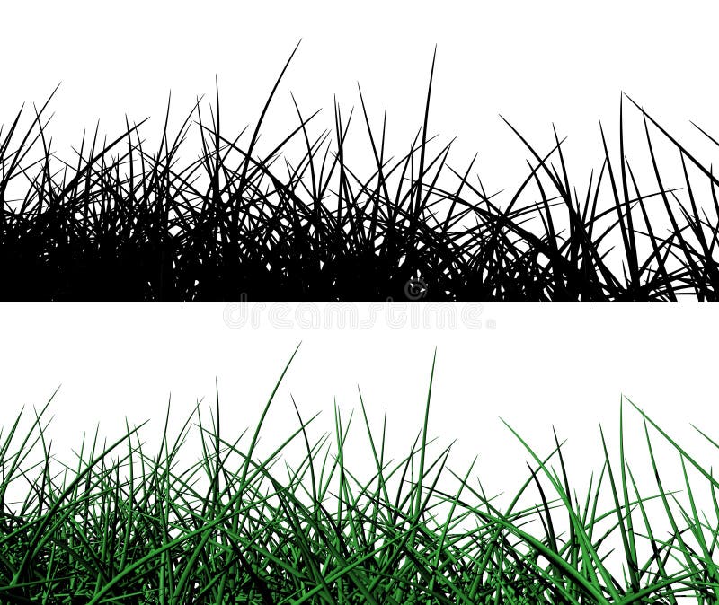 Grass Alpha Texture