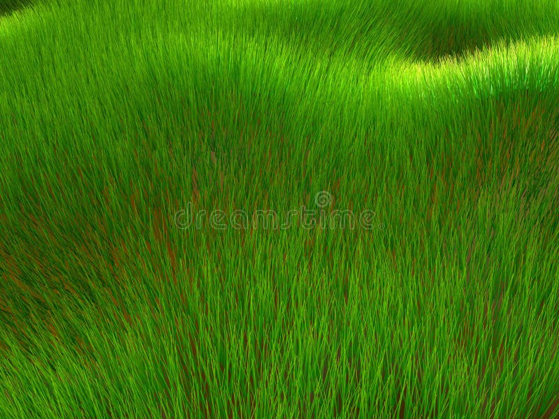 500+ Grass render Free Stock Photos - StockFreeImages