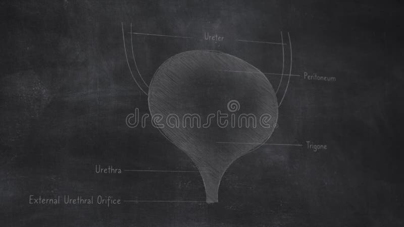 Hand Drawn Animated Heart Icon in Green Screen Stock Footage - Video of ...