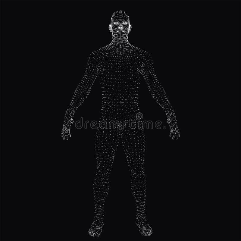 Anatomy Body Human Model Stock Illustrations – 15,553 Anatomy Body ...