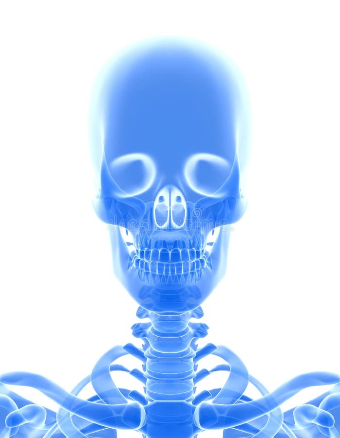 Blue Ribs Stock Illustrations – 1,622 Blue Ribs Stock Illustrations ...