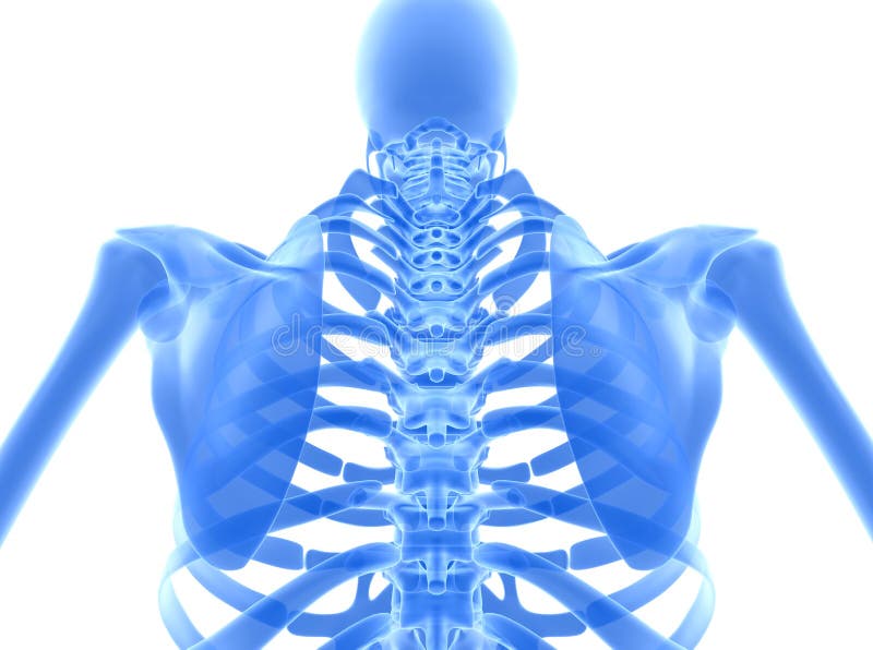 Blue Ribs Stock Illustrations – 1,622 Blue Ribs Stock Illustrations ...