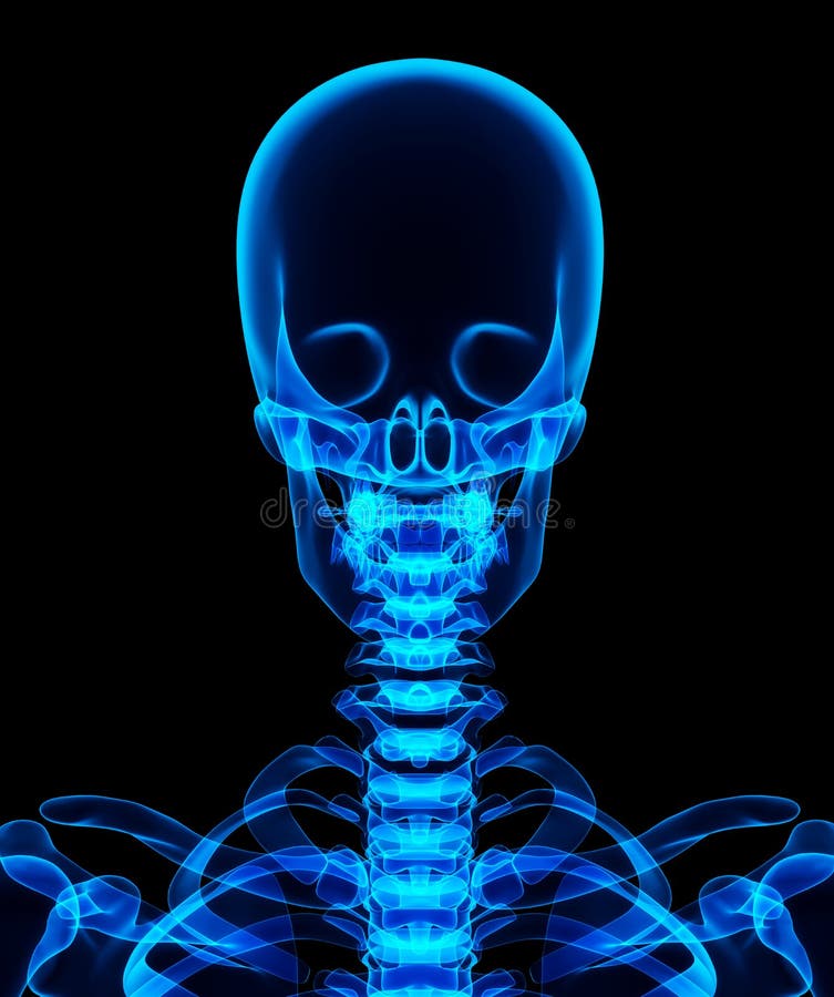 Blue Ribs Stock Illustrations – 1,622 Blue Ribs Stock Illustrations ...