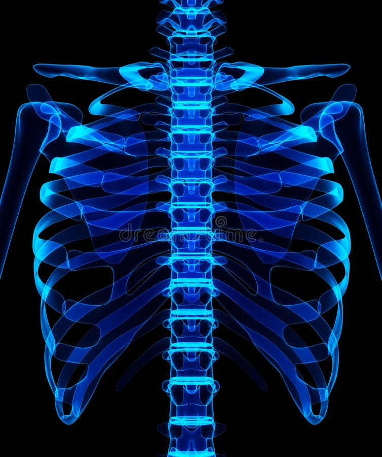 Blue Ribs Stock Illustrations – 1,622 Blue Ribs Stock Illustrations ...