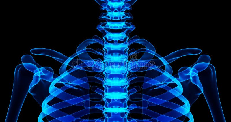 Blue Ribs Stock Illustrations – 1,622 Blue Ribs Stock Illustrations ...