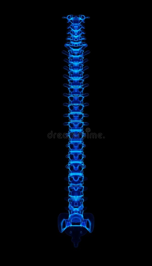 Blue Ribs Stock Illustrations – 1,622 Blue Ribs Stock Illustrations ...