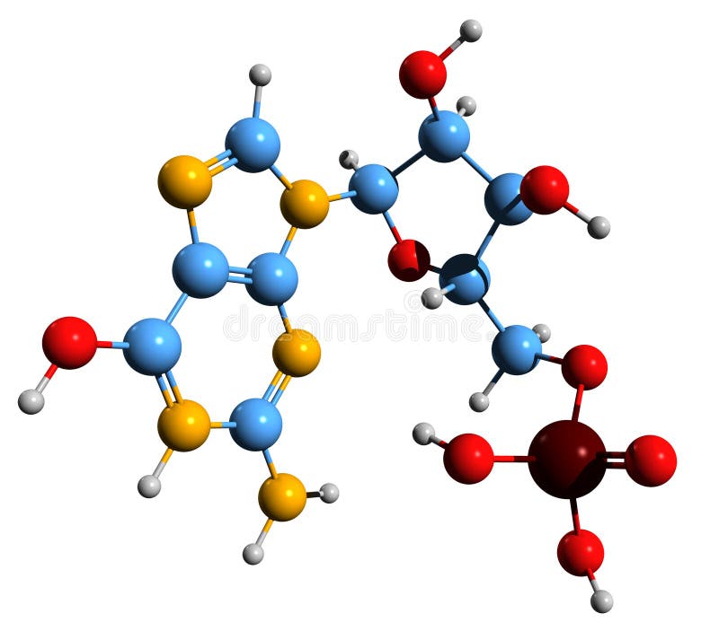 Inosinic Acid Stock Illustrations – 4 Inosinic Acid Stock Illustrations ...