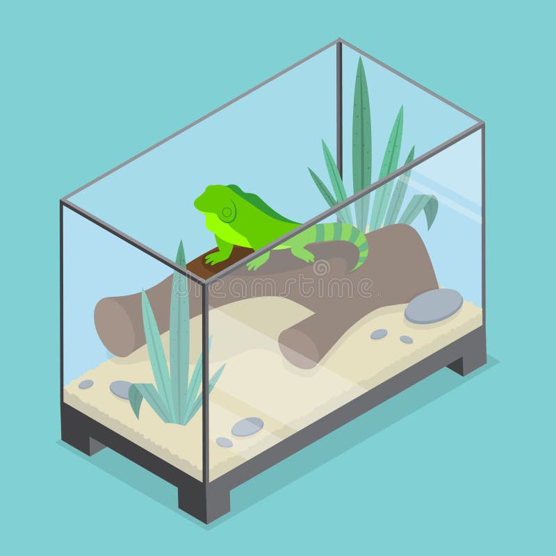 3D Isometric Flat Vector Illustration of Exotic Pets Stock Vector ...