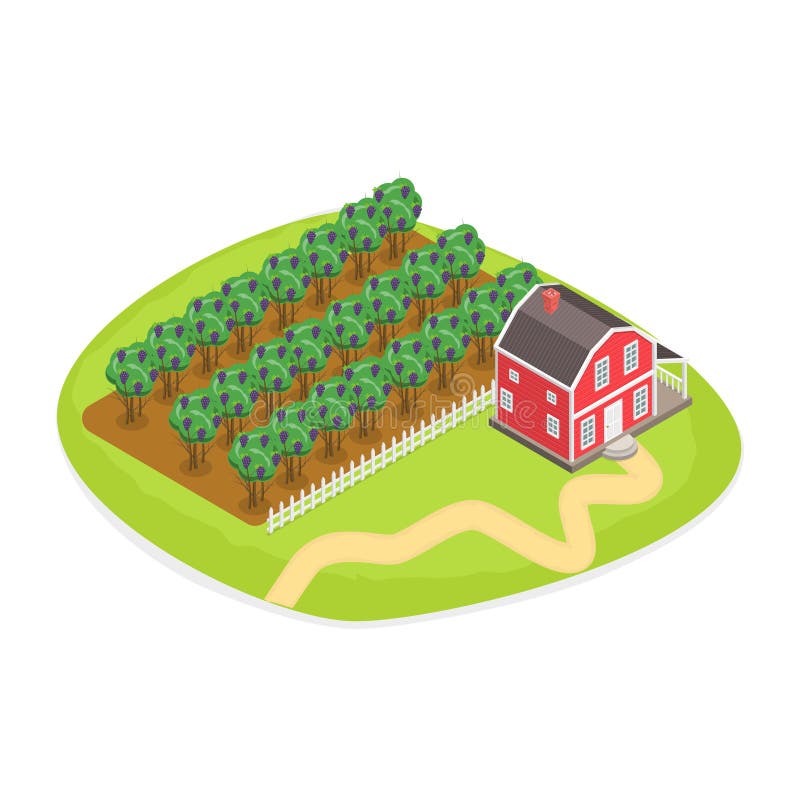 3D Isometric Flat Vector Illustration of Vineyard Harvesting. Item 3 ...