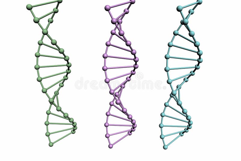 3D model of DNA structure stock illustration. Illustration of ...