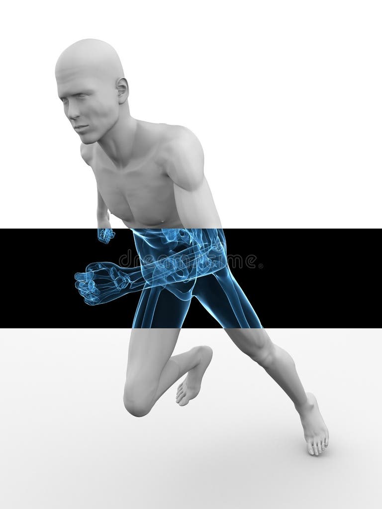 Blue Skeletal Model Stock Illustrations – 1,057 Blue Skeletal Model ...