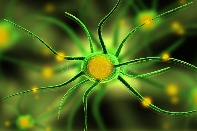 Green Nerve Cell Stock Illustrations – 1,020 Green Nerve Cell Stock ...