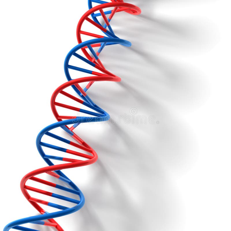 Dna spiral stock illustration. Illustration of chemistry - 4433269