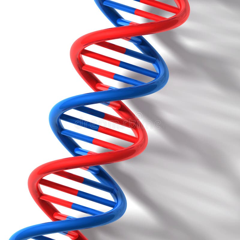 DNA vector stock vector. Illustration of science, cells - 4249603
