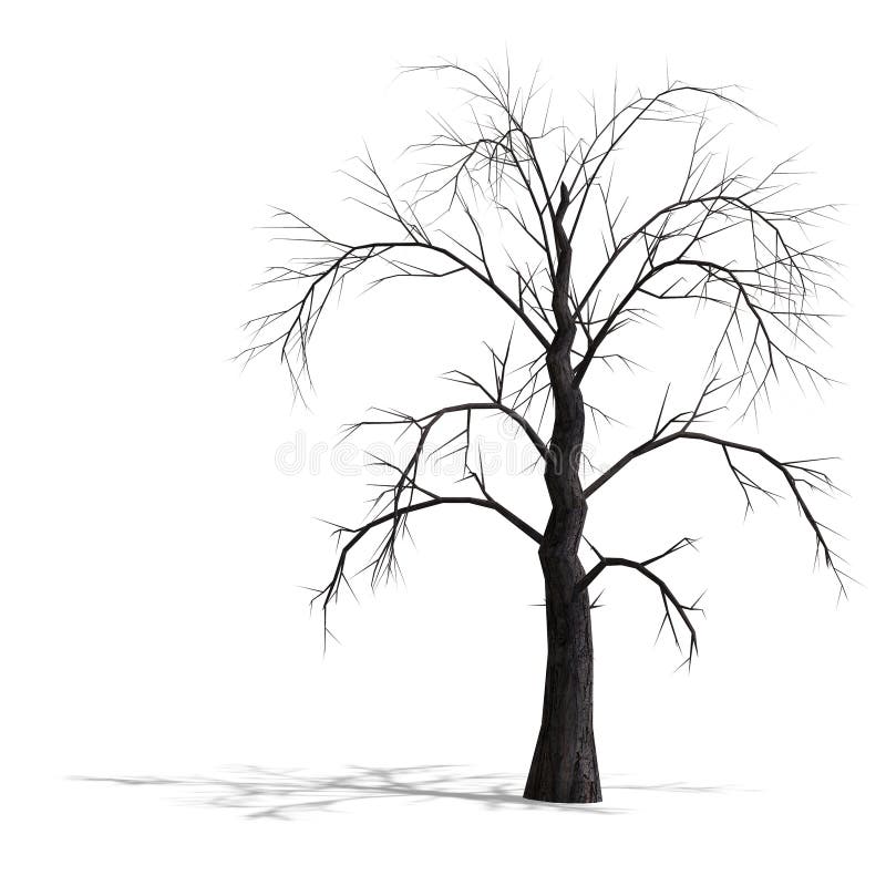 Dead Tree Bush by Night - 3D Render Stock Illustration - Illustration ...