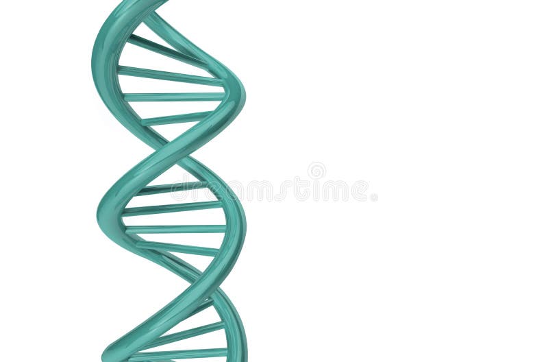 Baby Climbing DNA - with Clipping Path Stock Illustration ...