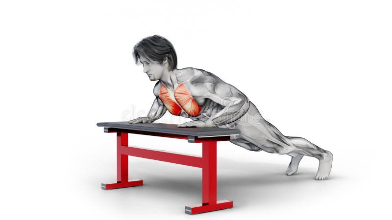 3d Render of Muscular Male Character Training Bench Push-ups and ...