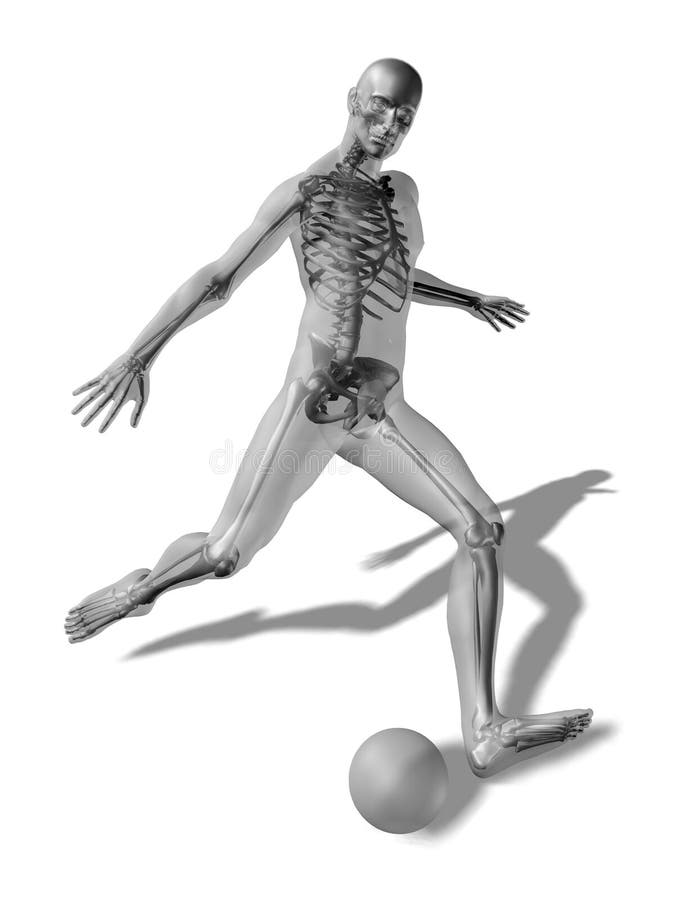 Kick Skeleton Stock Illustrations – 65 Kick Skeleton Stock ...