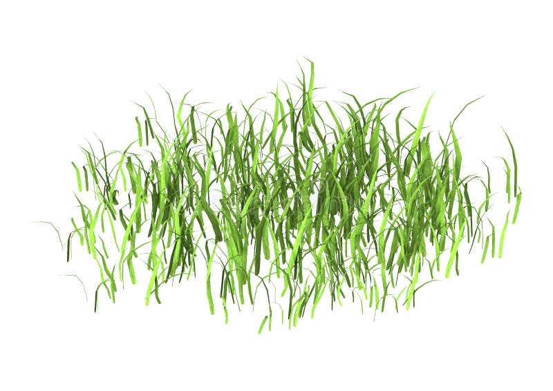 Patch Grass Stock Illustrations – 1,789 Patch Grass Stock Illustrations ...