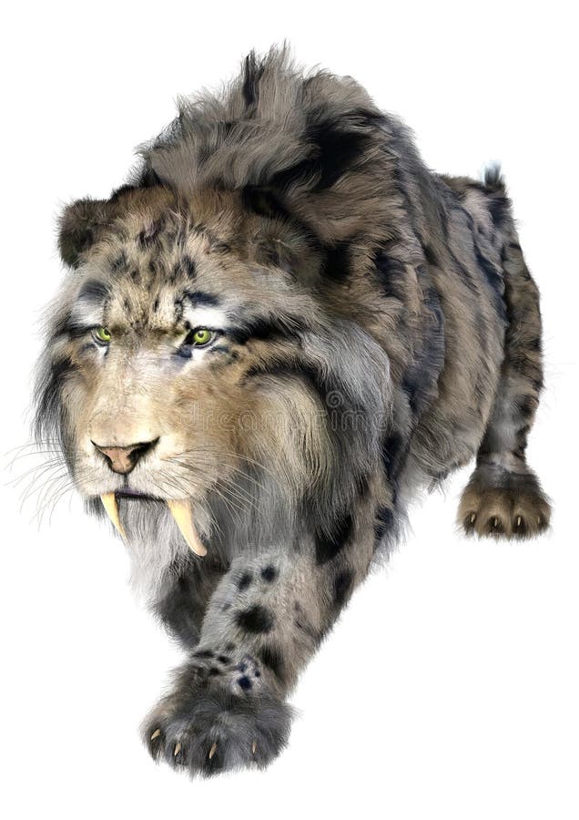 Smilodon Saber Stock Illustrations – 452 Smilodon Saber Stock ...