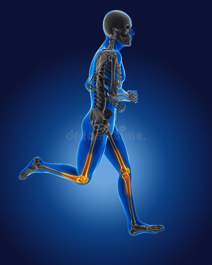 X-Ray Man Running - Side View - with Clipping Path Stock Illustration ...