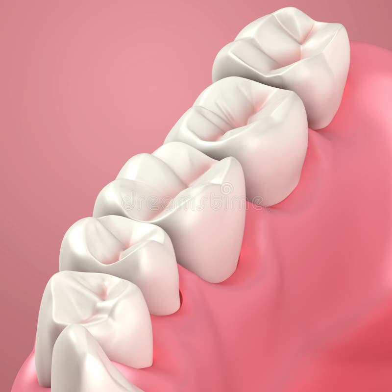3D teeth or tooth close up stock illustration. Illustration of bone ...