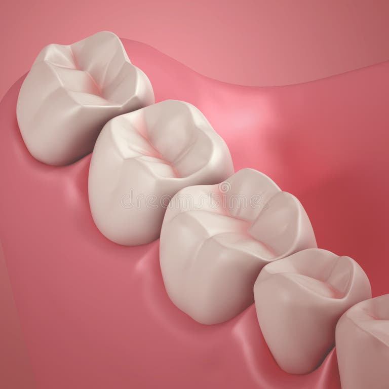 3D teeth or tooth close up stock illustration. Illustration of dentin ...